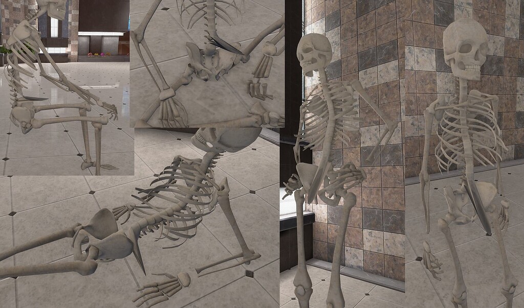 [1.1.1.0] Skeleton NPC has bugged bone - Bug Report - PixelTail Games ...
